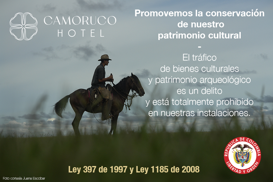 Social and Environmental Commitment | Hotel Camoruco - Official Website
